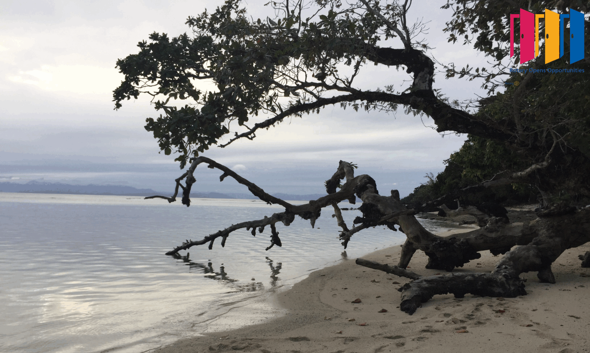 Laucala District School Project – Rotary Taveuni – Fiji